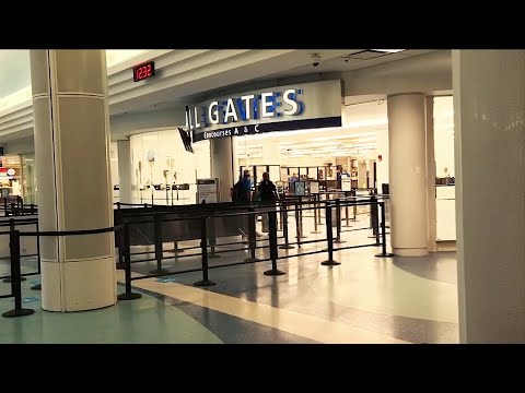 Air travel picking up