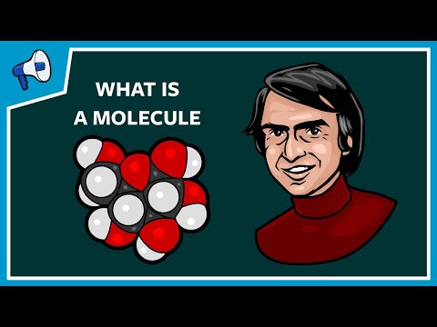What Is a Molecule?