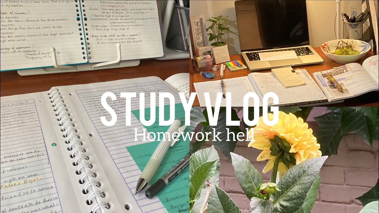 Study vlog 📚 productive days, note taking, finishing homework and assignments