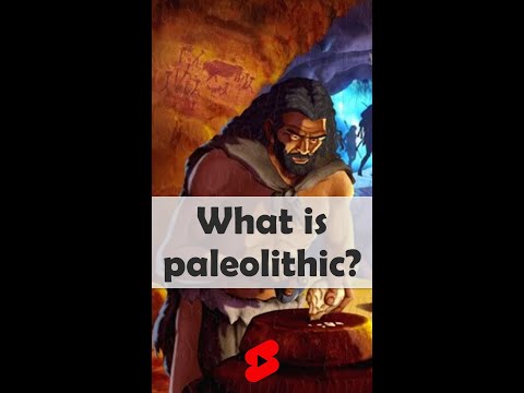 ⭐What is paleolithic? #shorts ???? Back to school