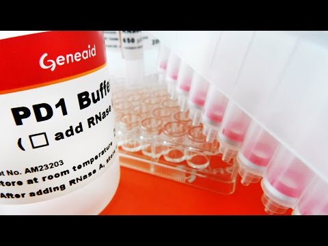 96 Well Plasmid DNA Extraction Kit Video