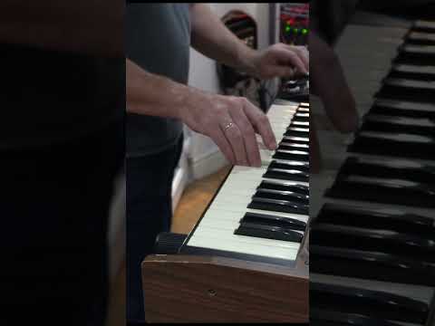 Discovering the Roland SH1000: Pros, Cons & Famous Users