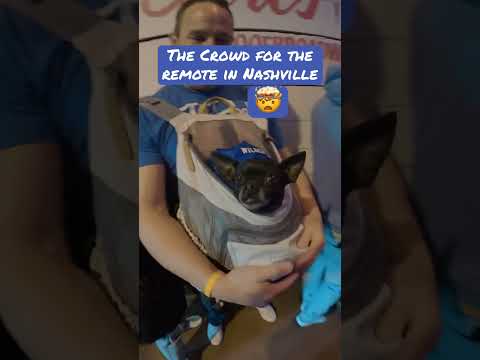 SEC Tournament Kentucky basketball fans are different #bbn
