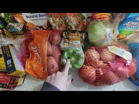Low income/budget grocery haul. Single mom with 2 teenage boys