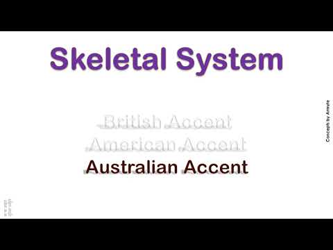 Skeletal System How to Pronounce Skeletal System in Australian, British, American Accent ?