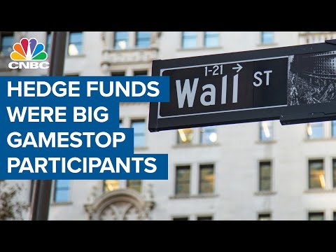 Hedge funds were big participants on GameStop trade, not retail investors