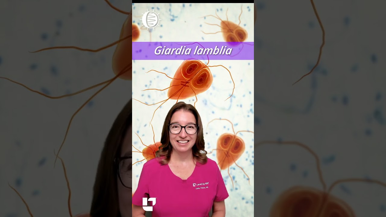 Giardia lamblia - Giardiasis: Microbes, Microbio Pre-Nursing, Pre-MED SHORT | @LevelUpRN