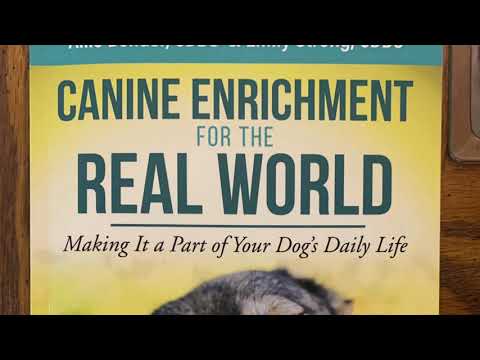My top 10 Christmas gifts 9. Canine enrichment for the real world