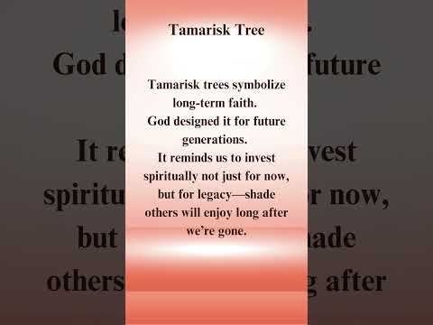 Bible Trees & Significance #TamariskTree #CovenantFaithfulness #BiblicalLegacy #EnduringFaith