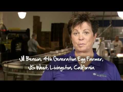 Take a Look at Our Egg Processing Plant