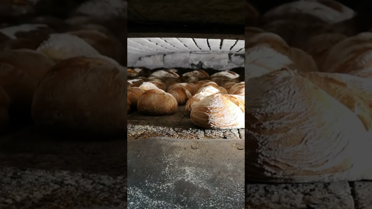Artisan wood-fired bread baked as in the olden day #shorts