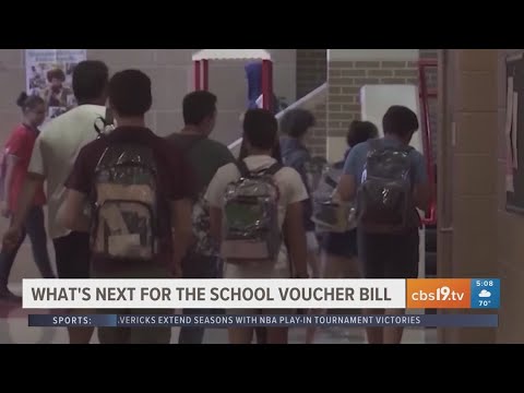 What next for school vouchers in Texas?