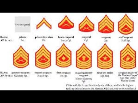 Easiest Way To Learn The Marine Corps Ranks - in 1 Day