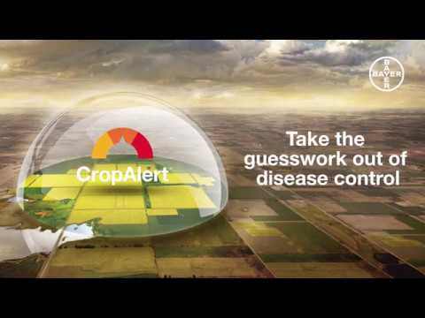 CropAlert from Bayer โ Blackleg Protection - 1.42
