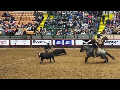 HIP #35 Lonestar Horse Sale