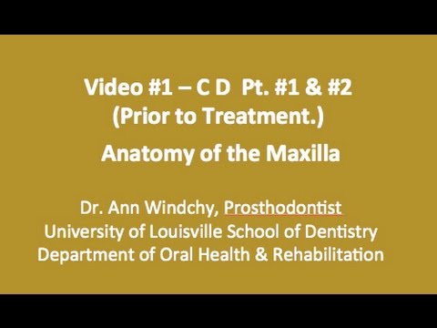Video #1 - C D Anatomy of the Maxilla
