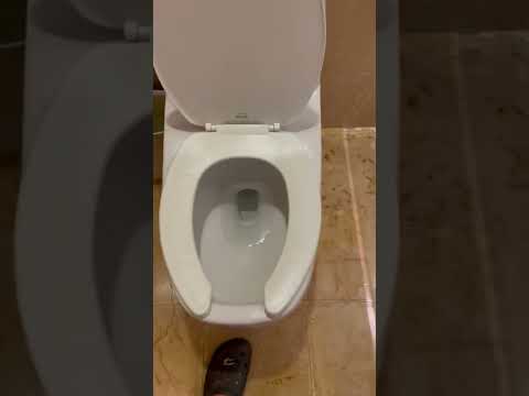 An OK Unknown Helvex Square Front toilet in Cancún, Mexico