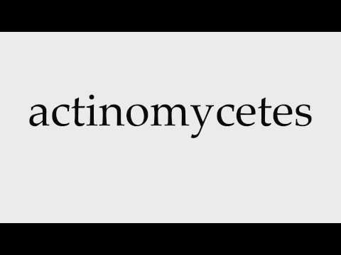 How to Pronounce actinomycetes