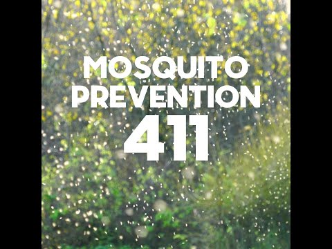 Mosquitoes 411