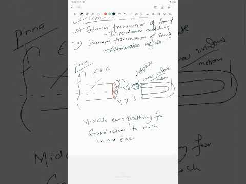 Impedance Matching| Functions of Middle ear