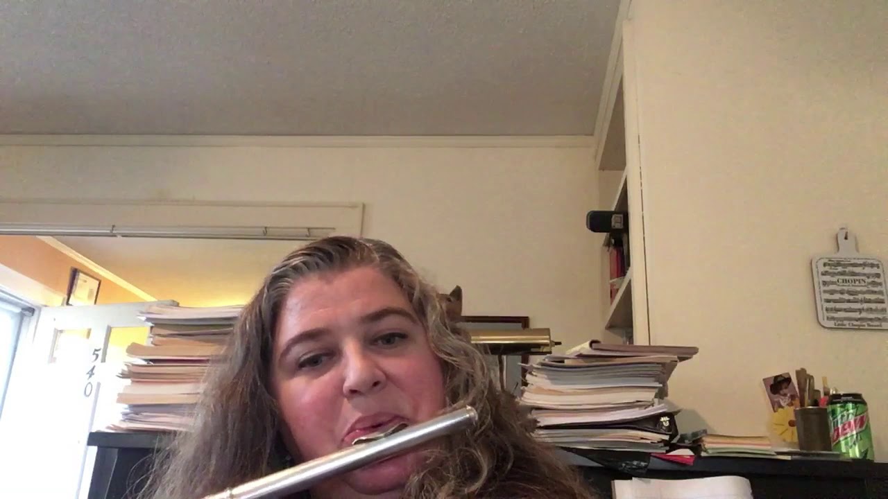 Hire Ginger Harmon Music - Flute Player in Gaffney, SC | GigSalad