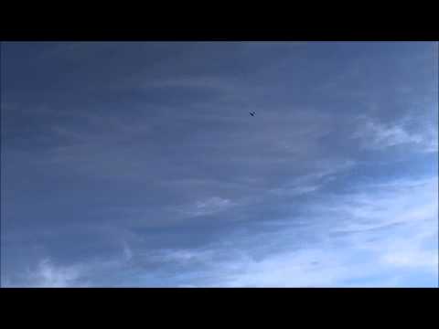 P-51 Mustang - 1600mm Starmax "Gunfighter" - Maiden Flight