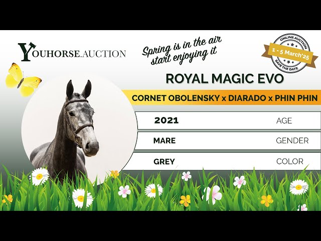 Youhorse.auction | Royal Magic