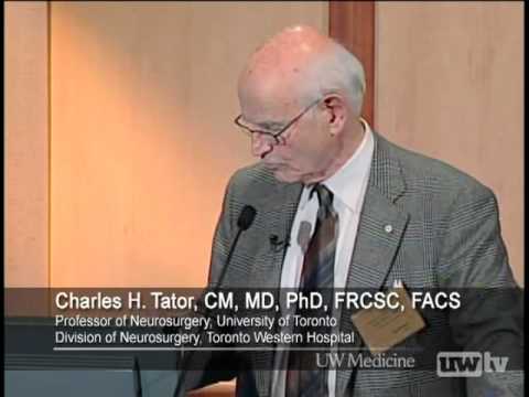Advances in SCI Treatment