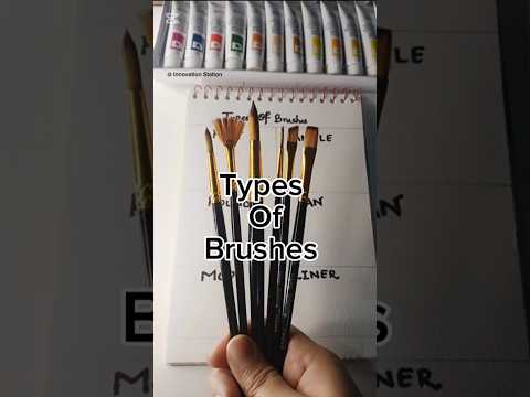 types of painting brushes/uses of different brushes in painting