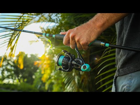 Toadfish TF4000SP-CARBON Elite Carbon Spinning Reel - TackleDirect