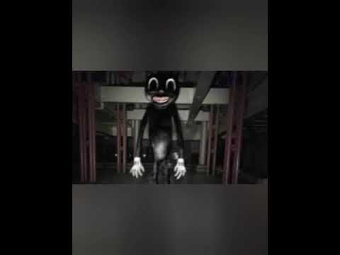 Cartoon Cat & Cartoon Dog (with cartoon cat music)