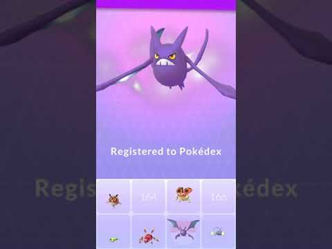 Perfect 3 Star Crobat Evolves from Golbat Pokémon Go