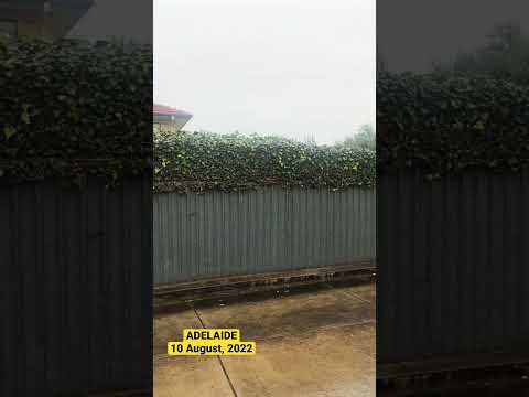 Adelaide weather
