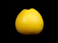 Musou Black Paint Makes Objects Look Like Acme Portable Holes - Nerdist
