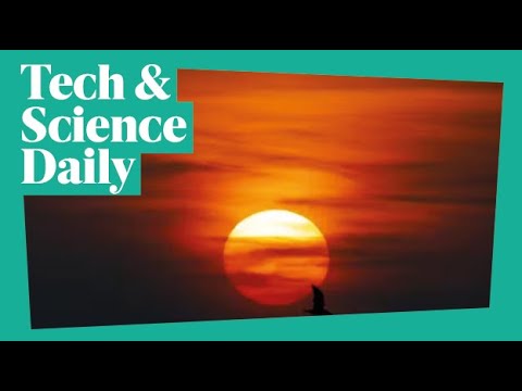 War and human extinction 2070 climate investigation...Tech & Science Daily