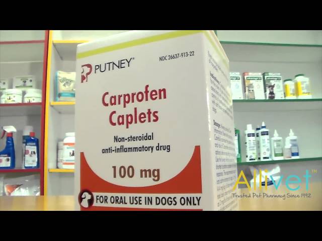 Veterinary Products - Intas Ceftriaxone And Tazobactam Intacef Tazo Pet ...