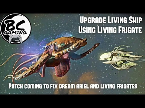 No Man's Sky - Upgrade Living Ship With Living Frigate Missions