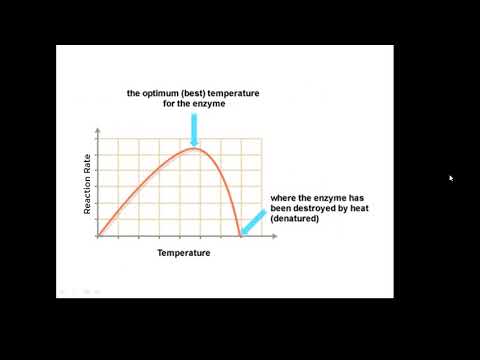 BTEC Applied Science: Unit 3 Enzymes 3