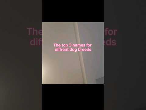 3 best dog names for diffrent breeds