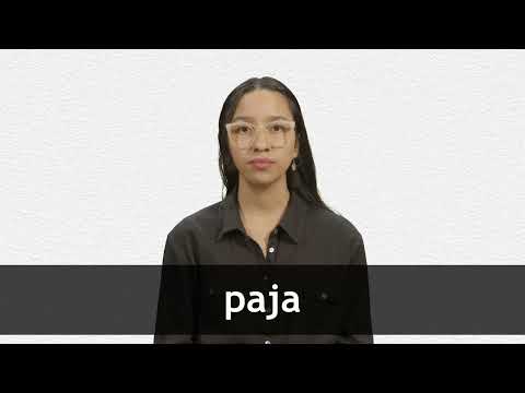 English Translation of “PAJA” | Collins Spanish-English Dictionary