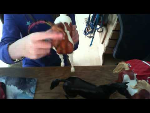 Chili Review for breyer.