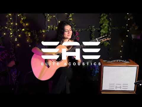 Elite Acoustics EAE A1-58 Open Box 120 W Acoustic 3 Chan Amp | Reverb
