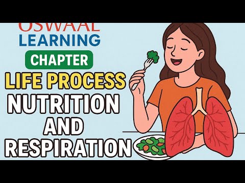 |oswaal sample paper class 10 2026 solutions|life process topic nutrition and respiration