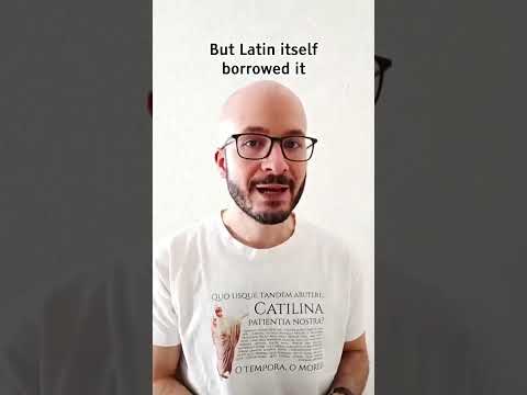 PUMPKIN, (kind of) a Latin word #Latin #etymology #etymologies