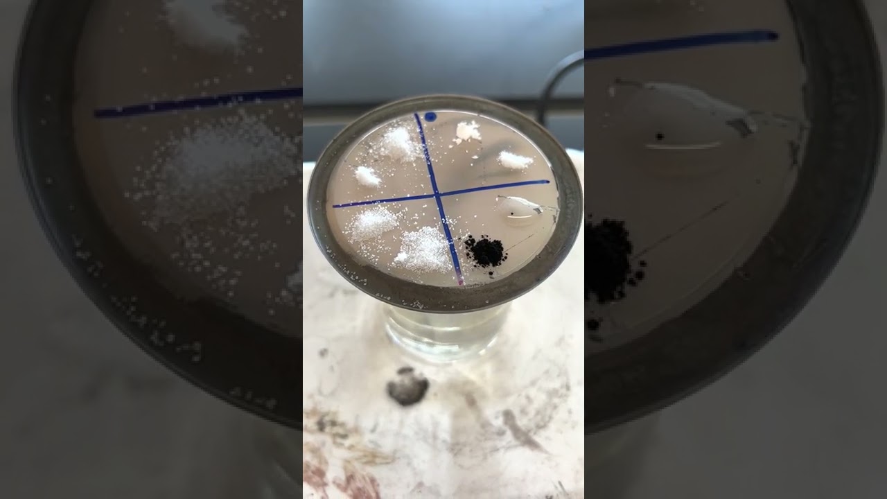 Ionic Compounds Lab Part 1 Eipperle
