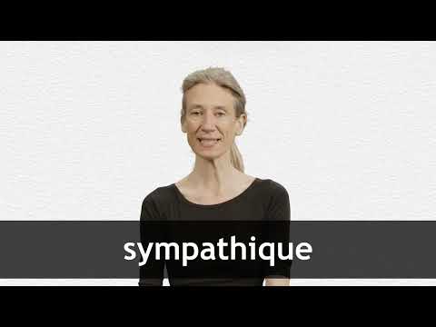 English Translation of “SYMPATHIQUE” | Collins French-English Dictionary