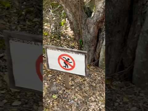 Watch out for dirt snakes!