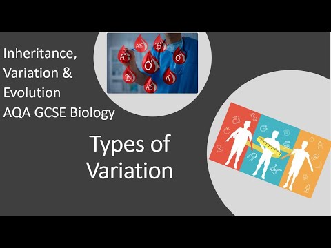Part 5 Types of Variation