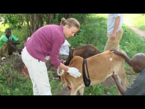 Bugs are cool: Michigan State University Entomology