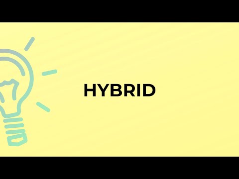 What is the meaning of the word HYBRID?